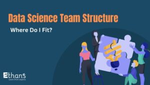 Data Science Team Structure – Where Do I Fit?